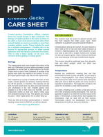 Digestive Disorders in Geckos From Vetlexicon Reptile | PDF | Human ...