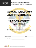 Lung Model With Two Lungs and Diaphragm Lab | PDF