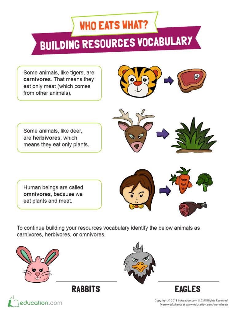 Who Eats That | PDF | Wellness