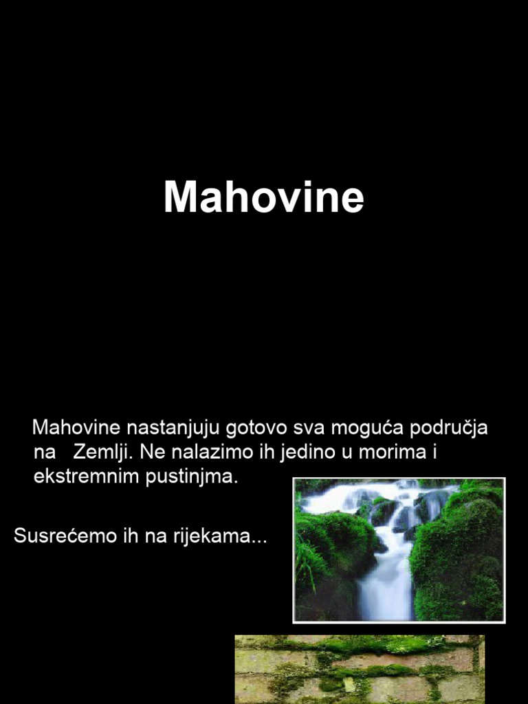 Prezentacija Mahovine | PDF