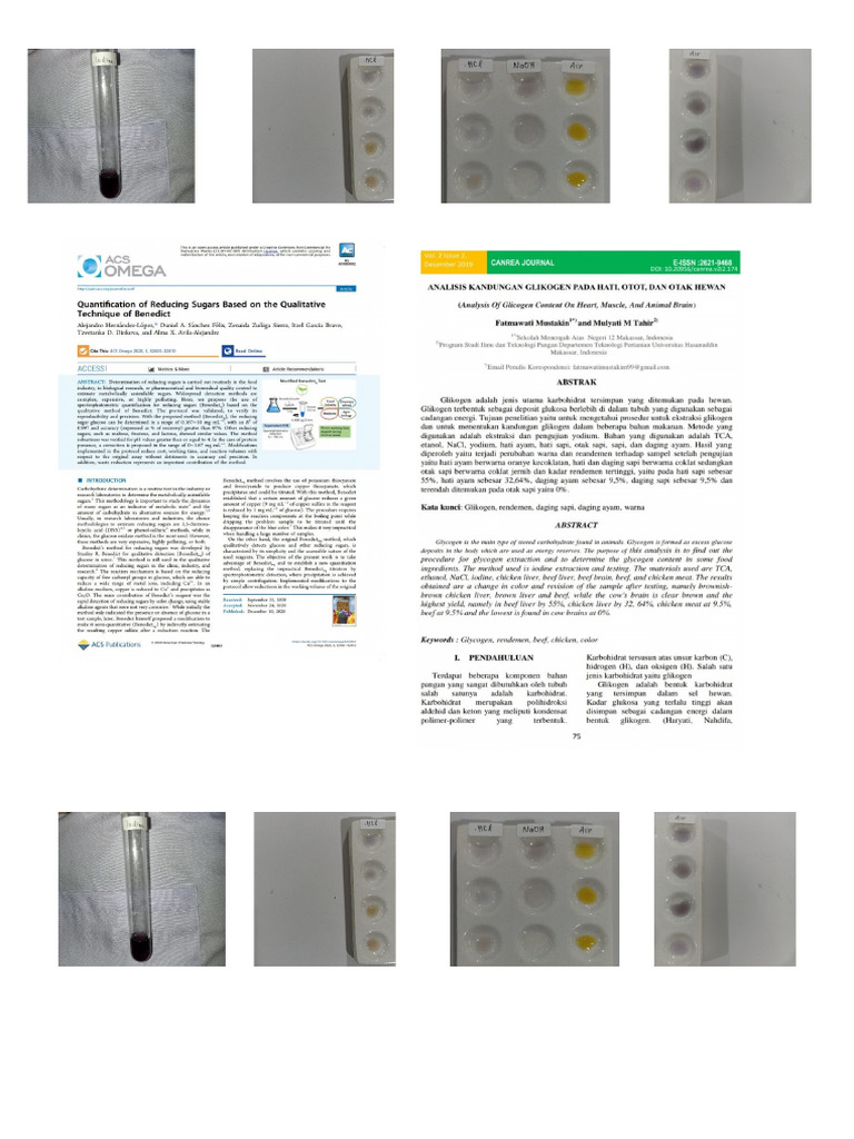Dokumentasi KimDas A6 | PDF