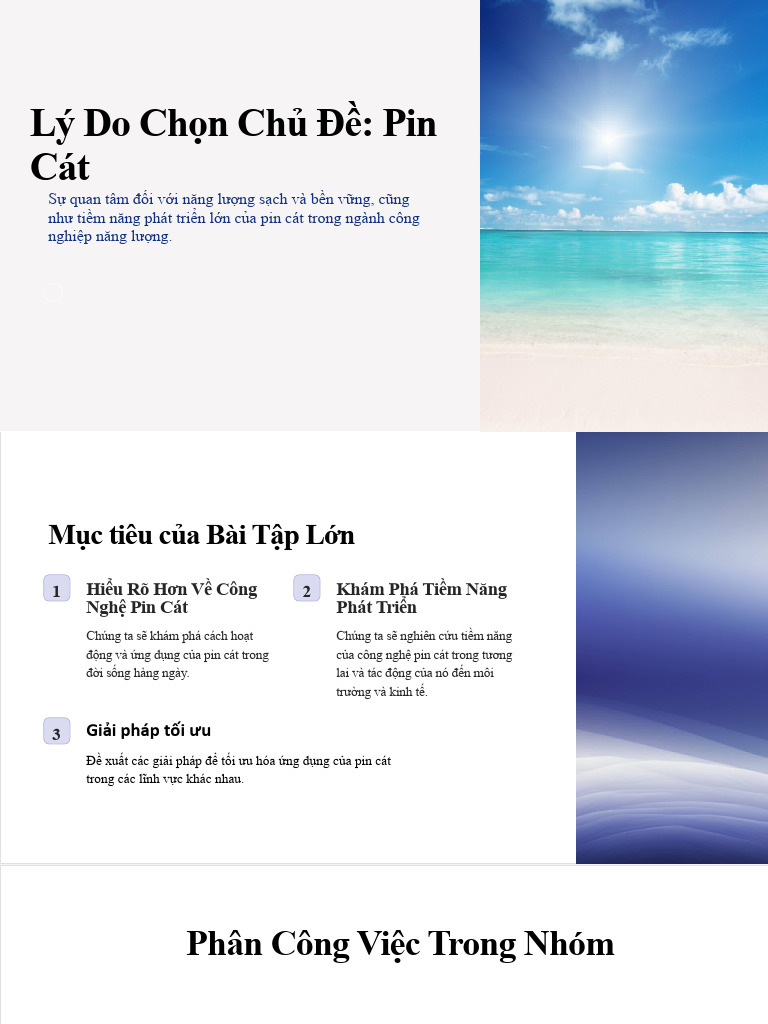 Ly Do Chon Chu DJe Pin Cat | PDF