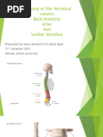Muscle OIA | PDF | Vertebral Column | Vertebra