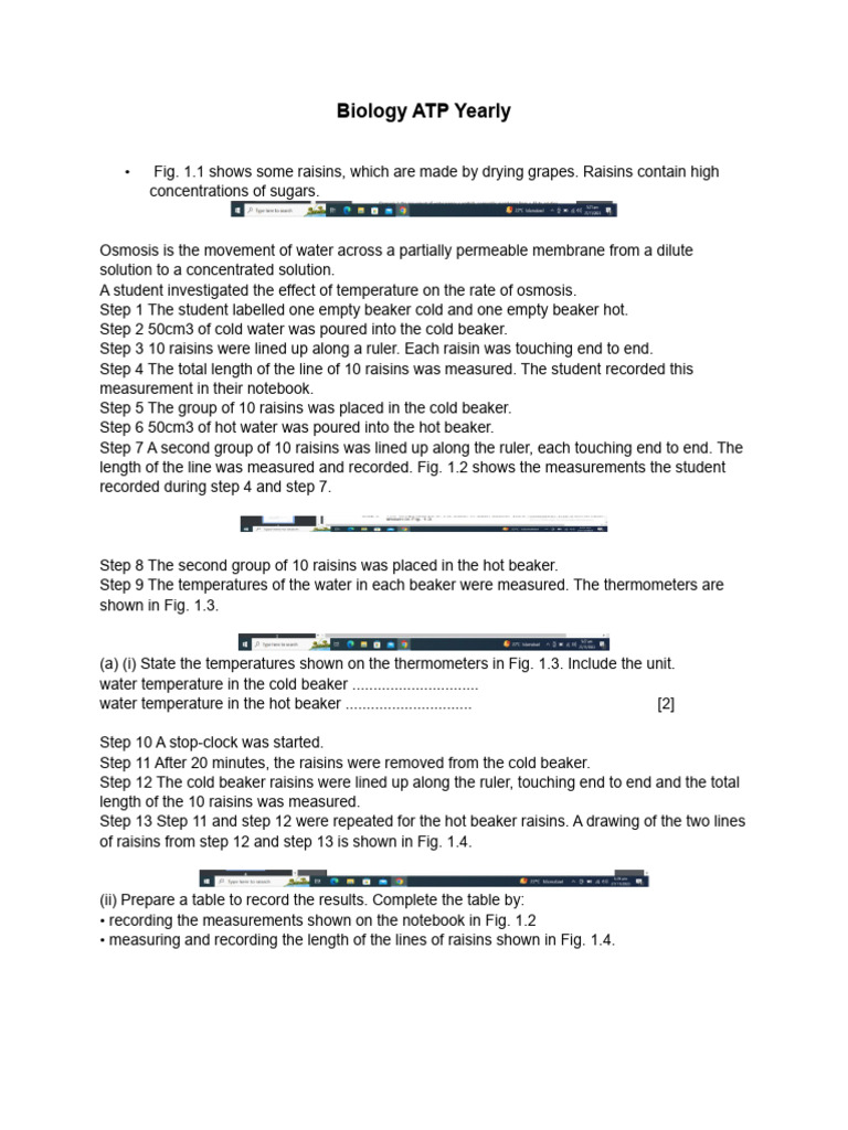 Bio ATP | PDF | Photosynthesis | Raisin