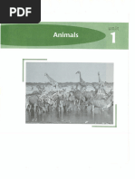 Free PDF English Story Books for Beginners | PDF | English Language ...
