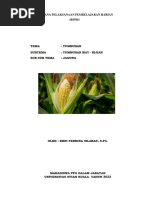 Contoh RPPH PAUD Kurikulum Merdeka | PDF