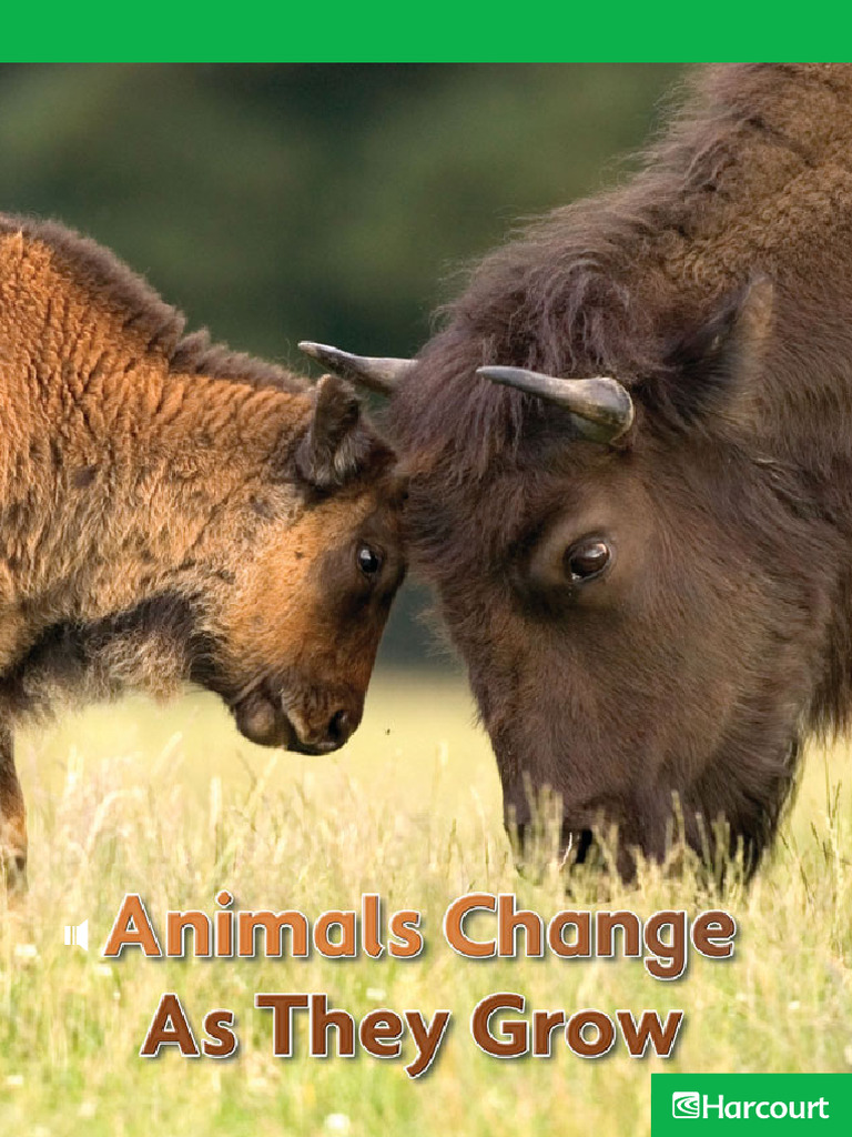 Animals Change As They Grow | PDF | Intellectual Property Law ...