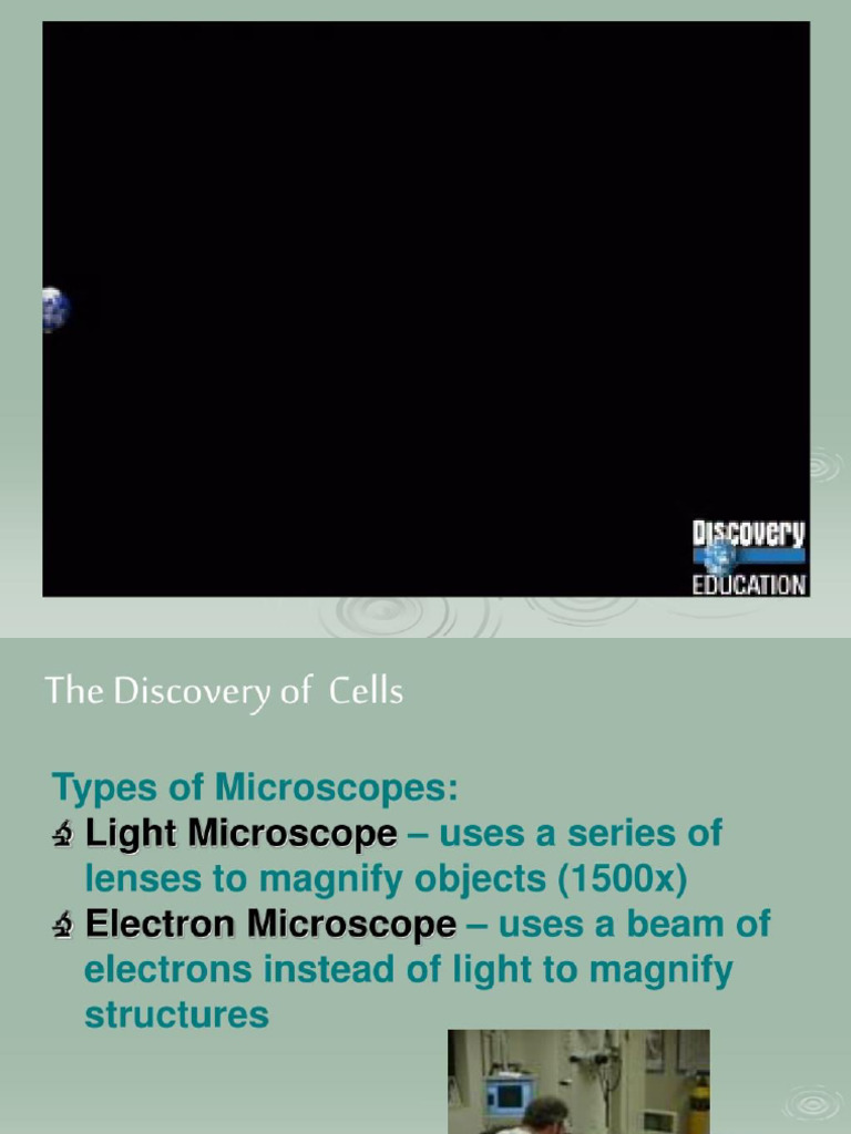Discovery of Cells Final | PDF