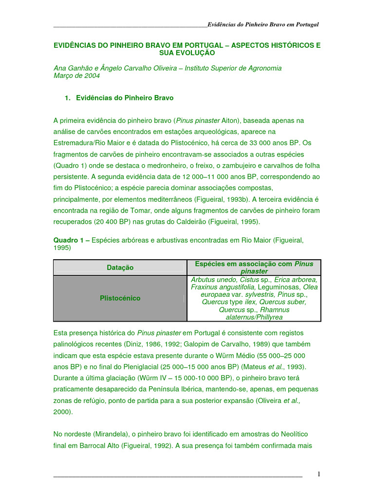 História do Pinheiro Bravo em Portugal | PDF | Marrocos | Portugal