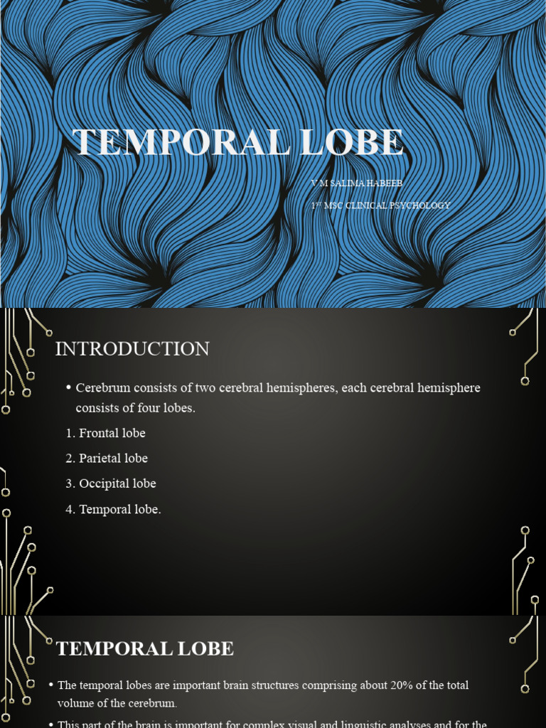 Temporal Lobe | Download Free PDF | Temporal Lobe | Hippocampus