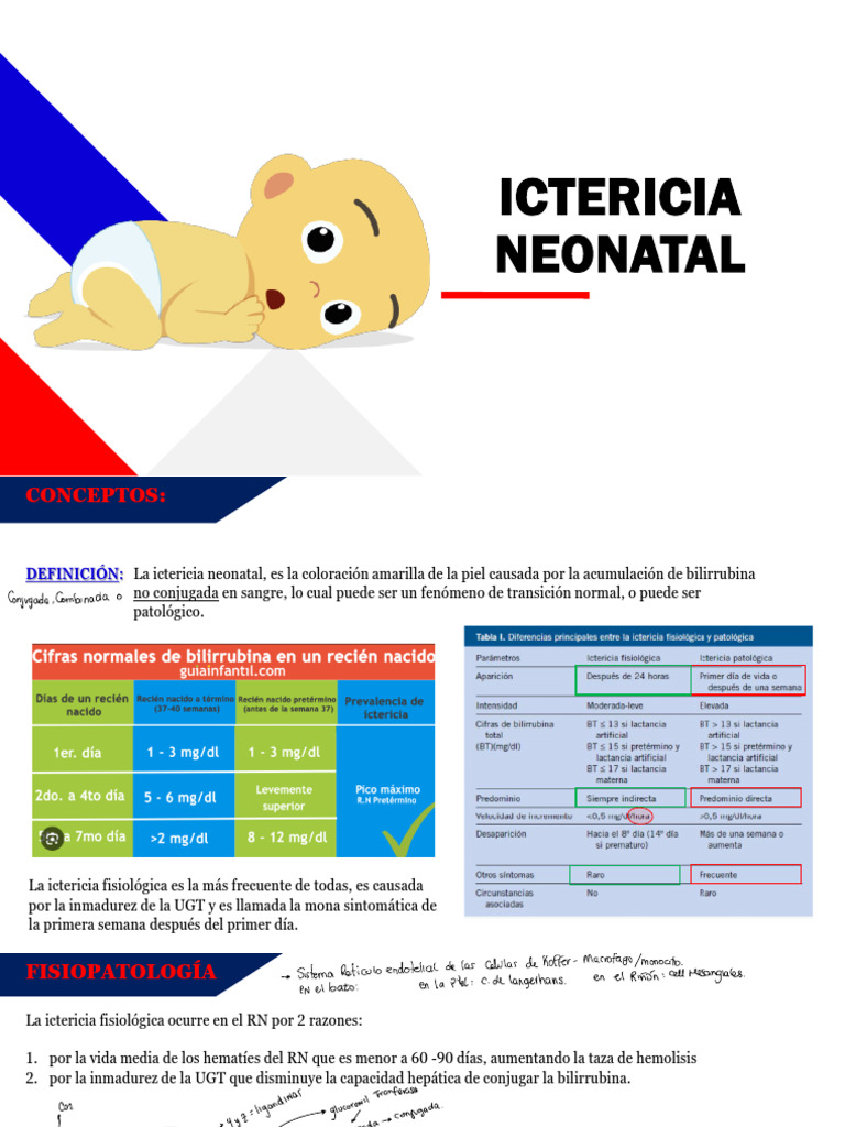 ICTERICIA NEONATAL | PDF | Anticuerpo | Enfermedades y trastornos