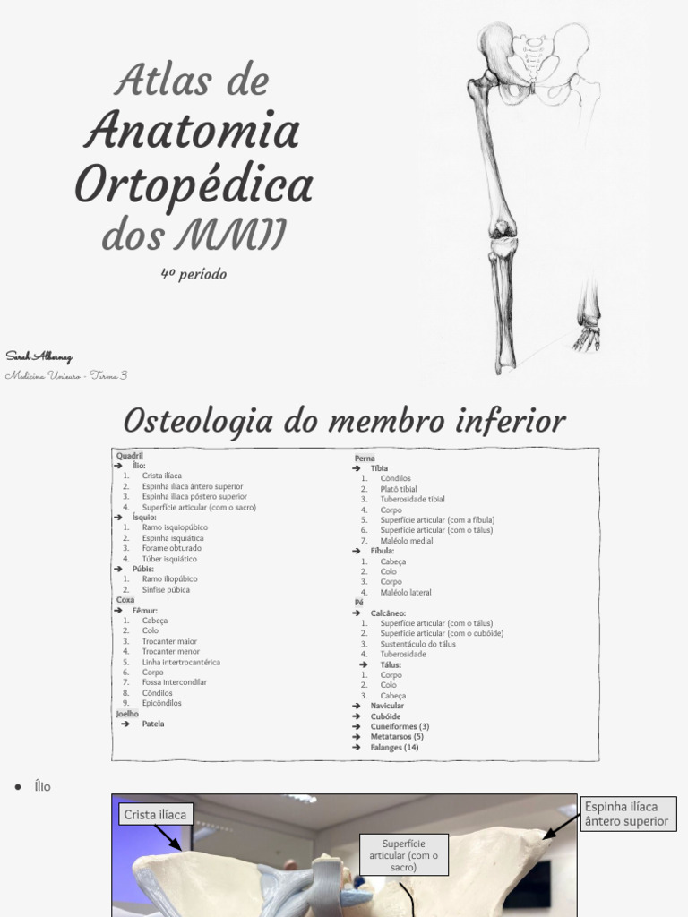 Atlas de Anatomia Ortopédica Dos MMIII 2 | PDF | Pélvis | Joelho