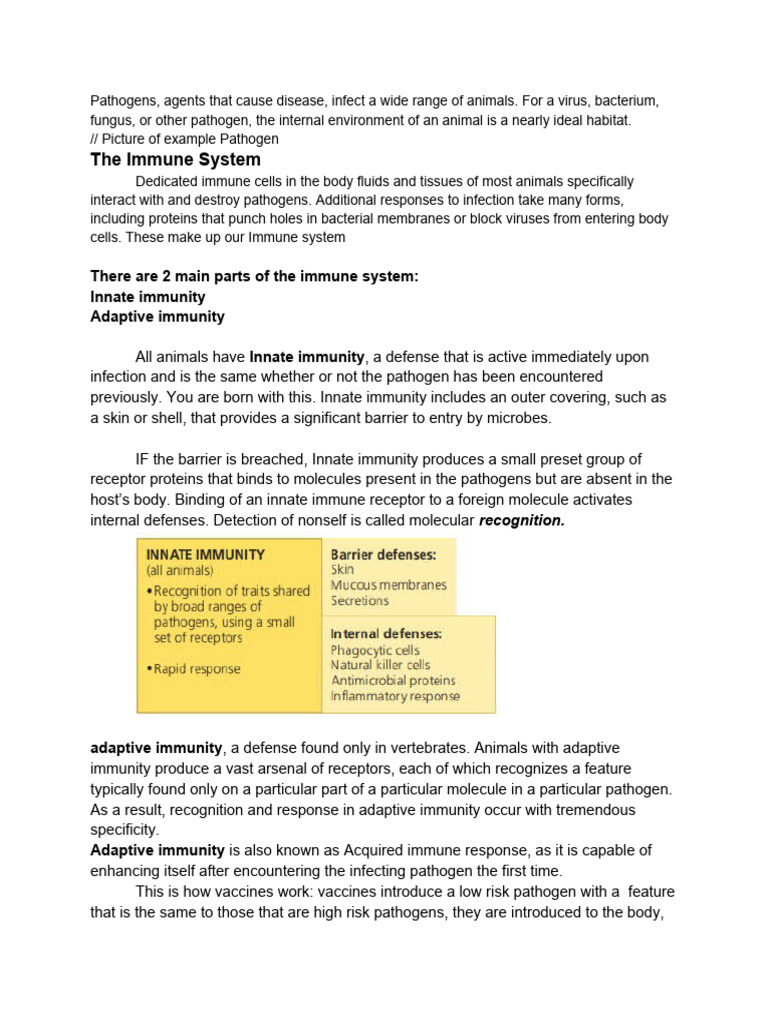 Understanding Animal Immune Systems | PDF