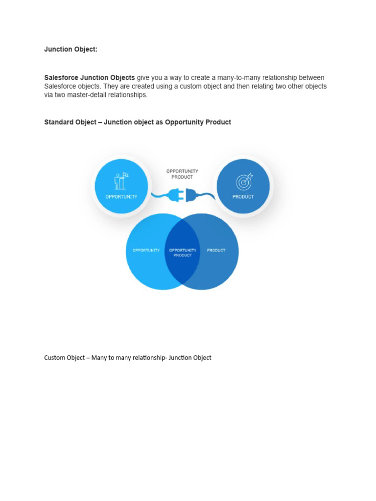SFDC Junction Object | PDF