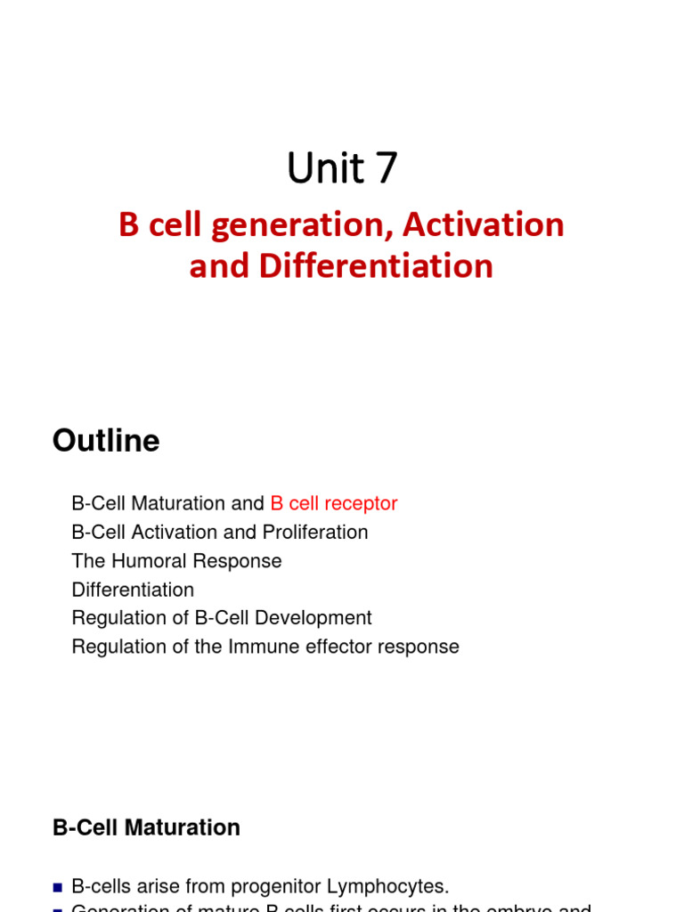 Unit 7 B Cell | PDF