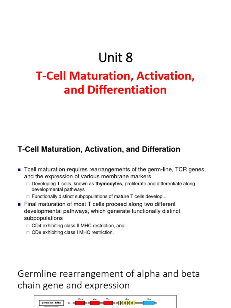 Unit 8 T Cell | PDF | T Cell | T Helper Cell