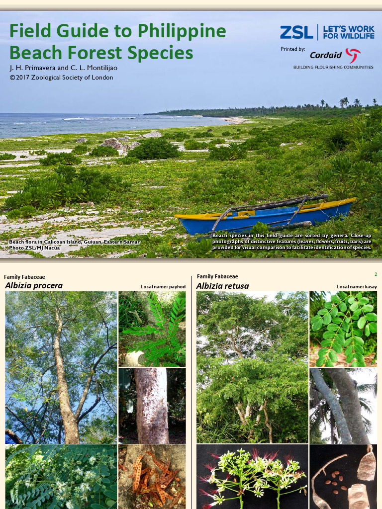 12 Field Guide - Philippine Beach Forest Species (1) | PDF | Plants | Botany
