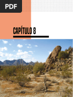 Matorrales: Desafíos y Conservación | PDF | México | Agricultura