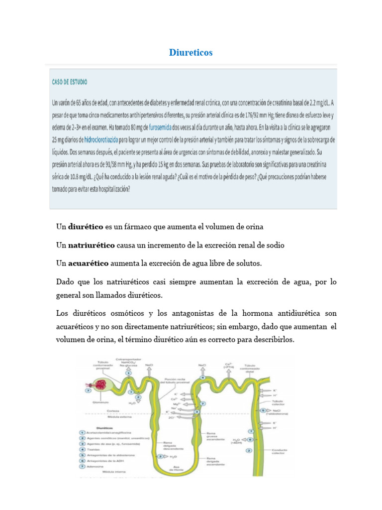 Clasificación y Mecanismos de Diuréticos | PDF | Farmacocinética ...