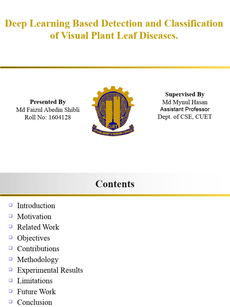 FinalPresentation | Download Free PDF | Deep Learning | Learning