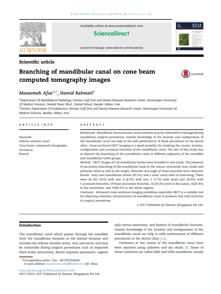 Branching of Mandibular Canal On Cone Beam | PDF | Human Head And Neck ...