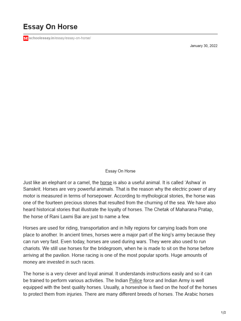 Essay On Horse | PDF