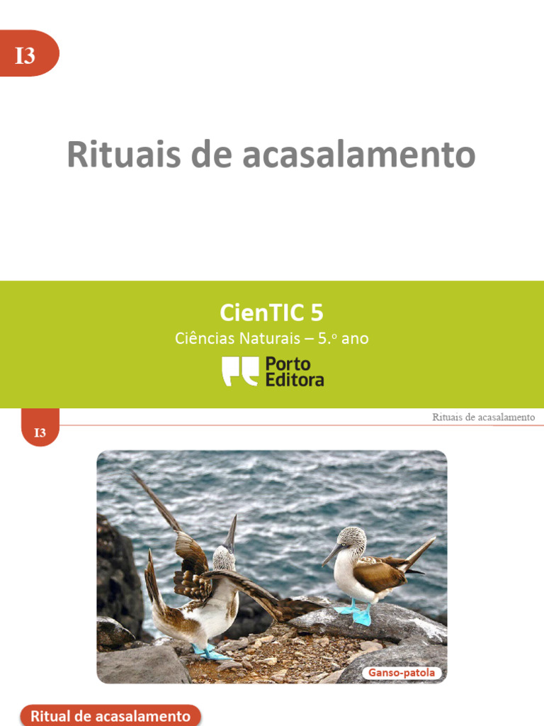 Rituais de Acasalamento | PDF