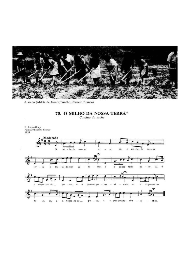 O Milho Da Nossa Terra | PDF