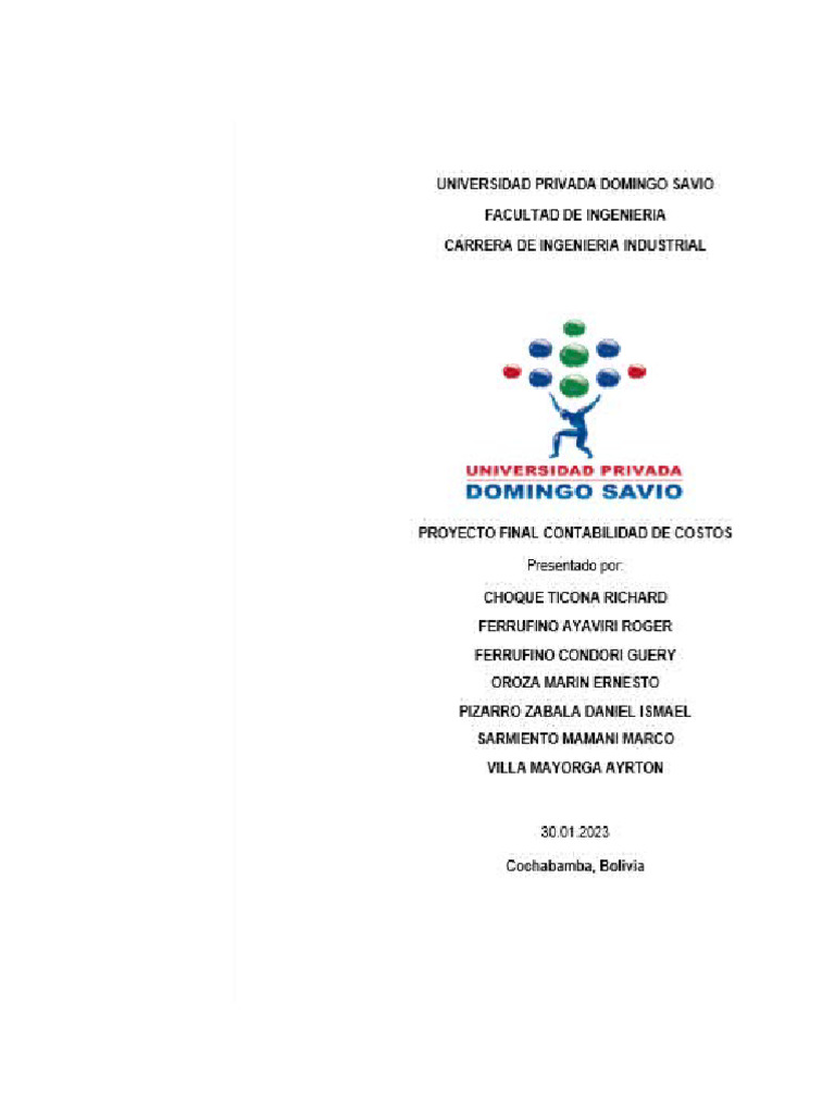 Proyecto Final Grupo 6 1 | PDF | Business | Economias