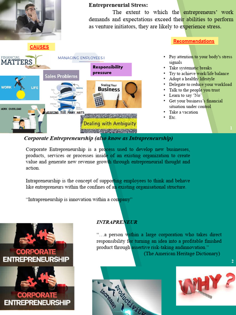 Entrepreneurial Mindset | PDF | Entrepreneurship | Design Thinking