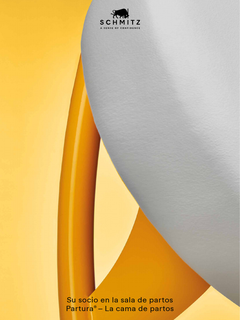 Web Schmitz Kat88 Partura ES 20230102 Geschuetzt | PDF | Parto