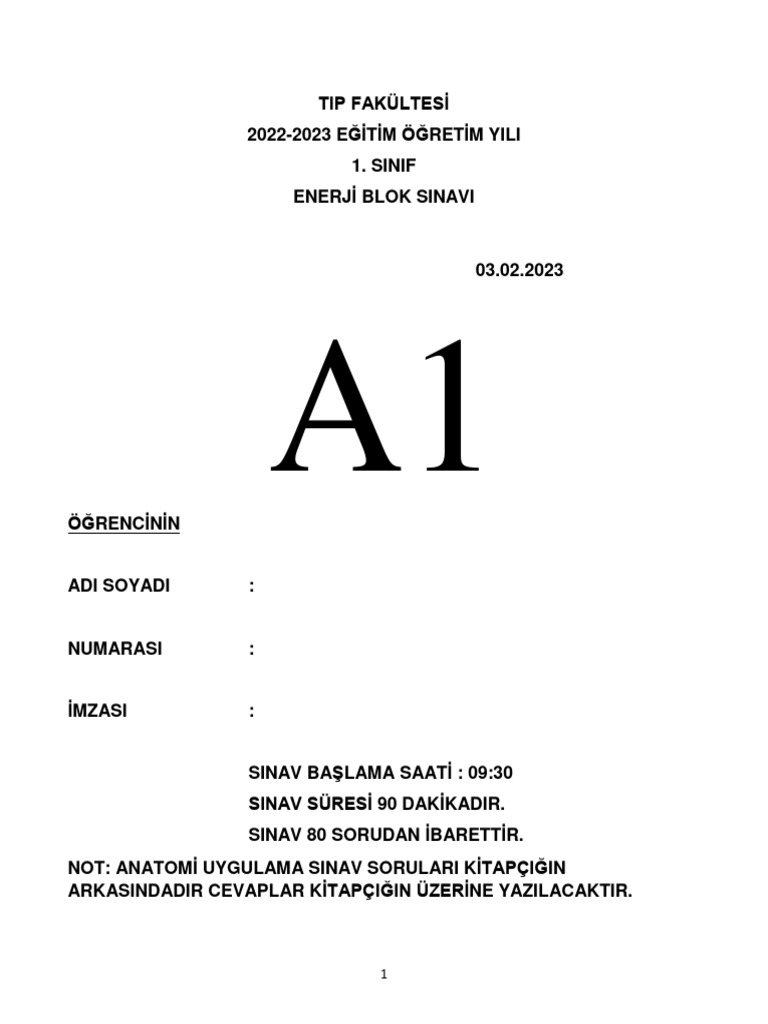 2022-2023 Enerji Blogu Sinav Sorulari A1 | PDF
