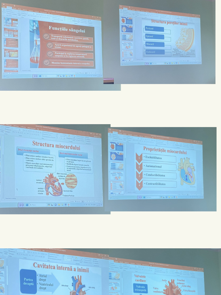 Pink and Brown Simple Handwritten Portfolio Presentation | PDF