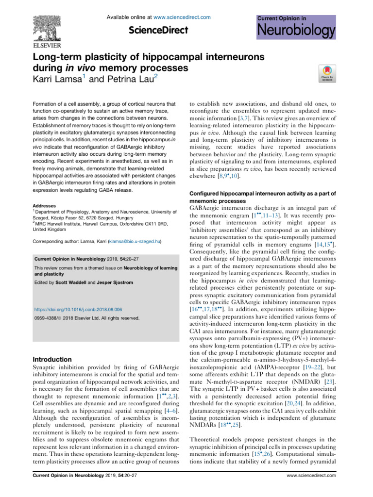Memoria y Plasticidad Neuronal | PDF | Synaptic Plasticity | Hippocampus