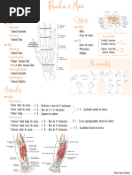 Aula 6 Ossos, Músculos, Inervação e Vascularização Do Punho e Mão | PDF ...