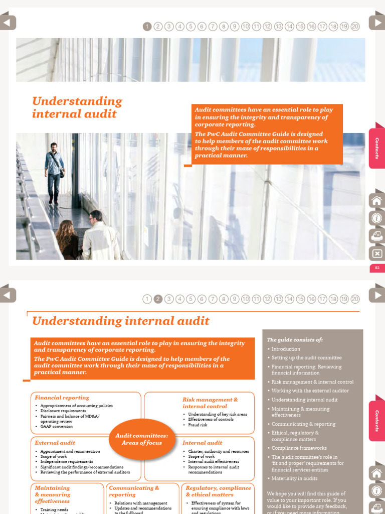 Pwc Understanding Internal Audit Download Free Pdf Internal Audit