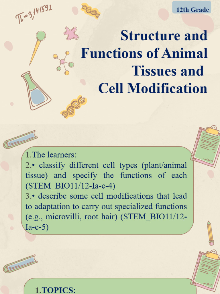 Bio1 Function of Animal Cells and Cell Modification | PDF | Epithelium | Human Body