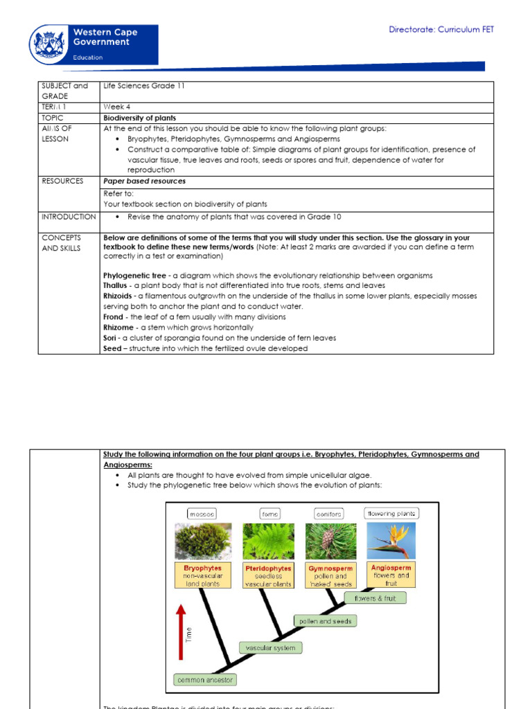Life Sciences Grade 11 Term 1 Week 4 - 2021 | PDF | Fern | Leaf