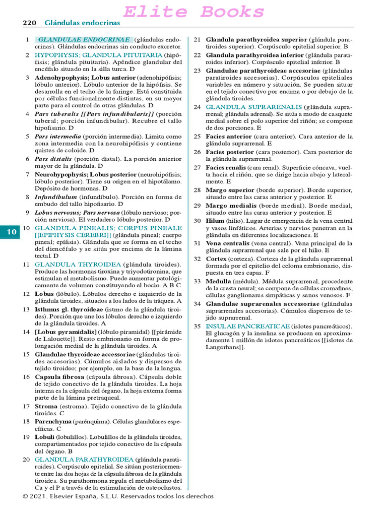 GLANDULAS ENDOCRINAS - Feneis - Nomenclatura - Anatomica - Ilustrada ...