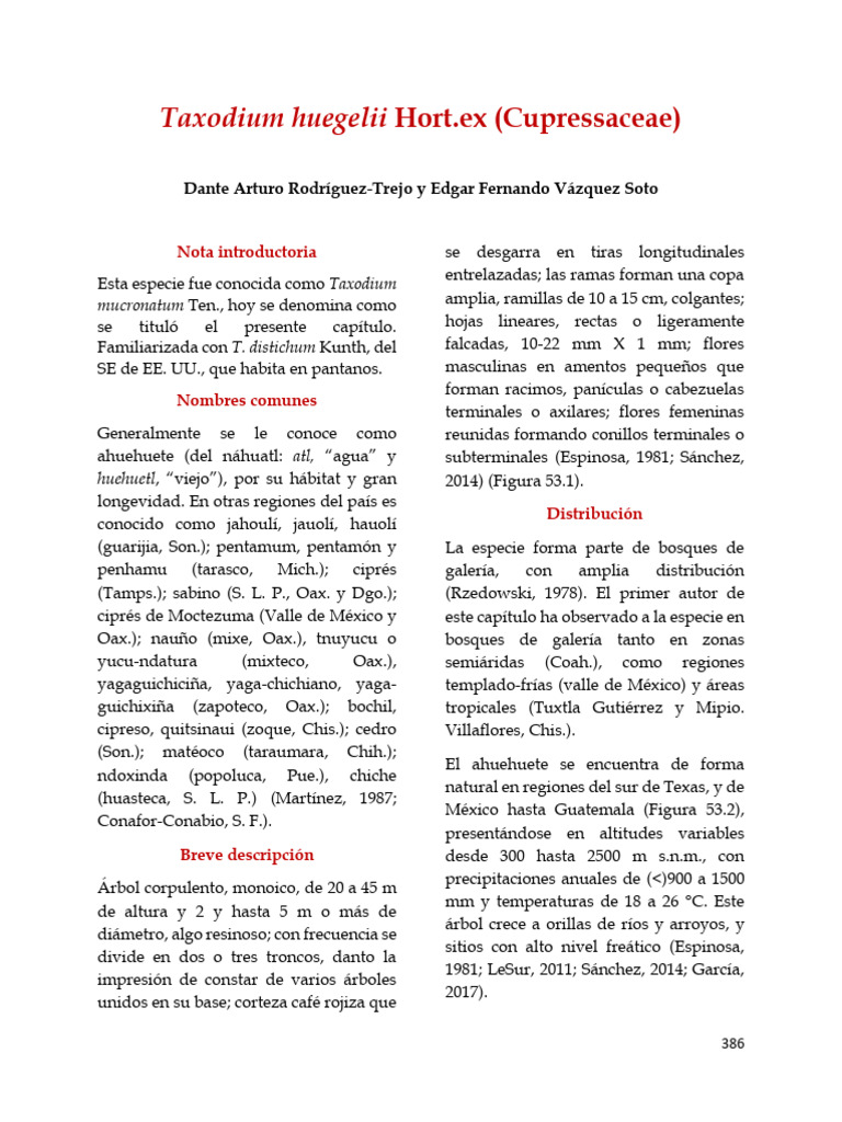 Taxodium Huegelii Hort - Ex - Cupressaceae-1 | PDF | Arboles | Cultura ...