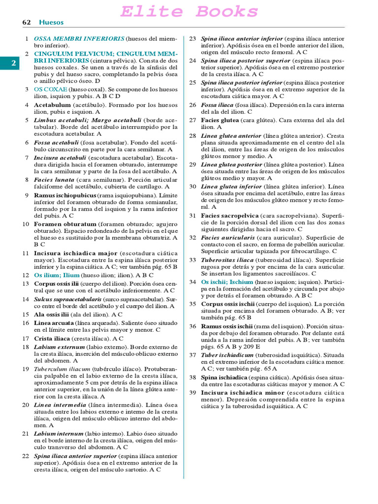 COXIS... Feneis Nomenclatura Anatomica Ilustrada Undecima e | PDF ...