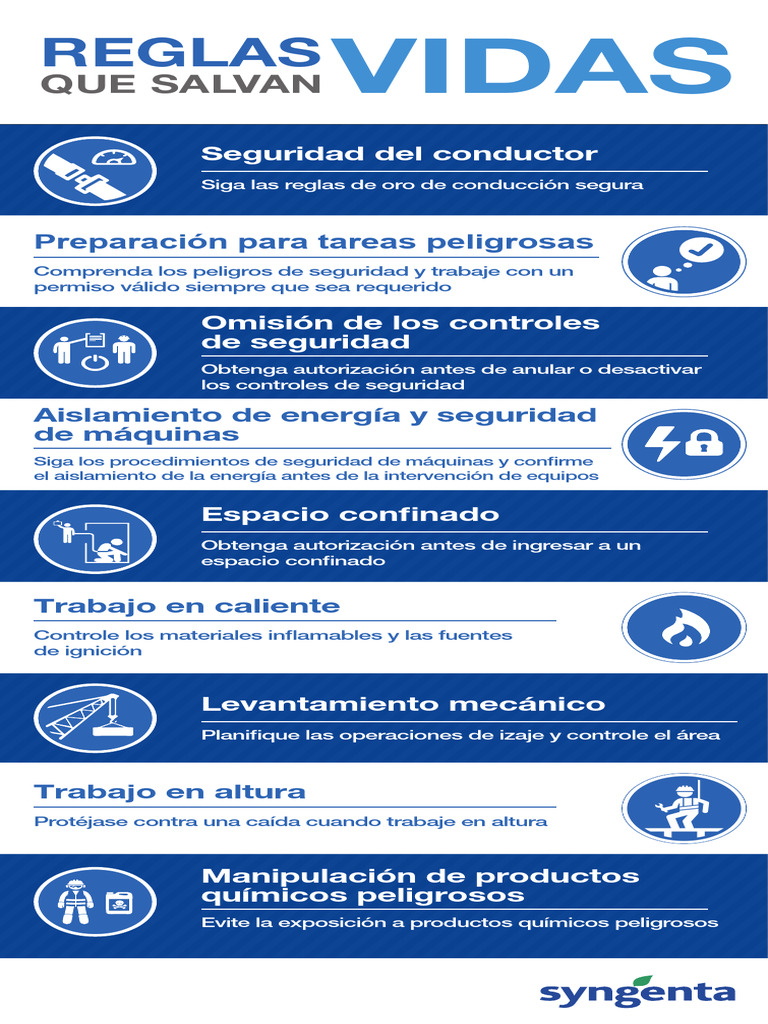 Reglas de Seguridad que Salvan Vidas | PDF