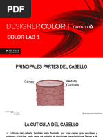 Documento 4 B Decoloración Capilar | PDF | Pelo | Color