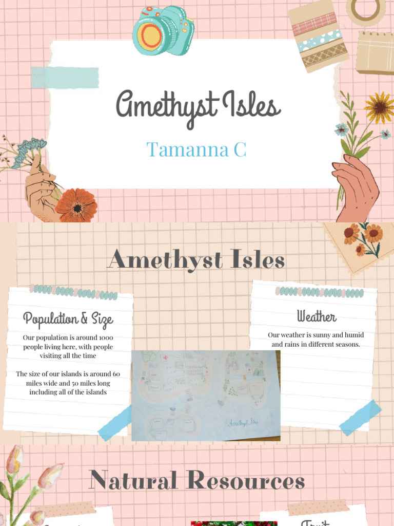 Amethyst Isles | PDF | Coconut | Tourism