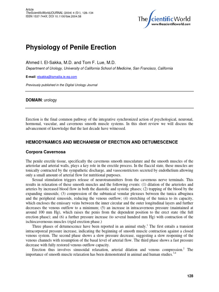 Physiology of Penile Erection: Ahmed I. El-Sakka, M.D. and Tom F. Lue, M.D | PDF | Nerve ...