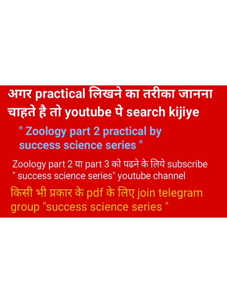 BSC 2nd Year Zoology Practical | PDF