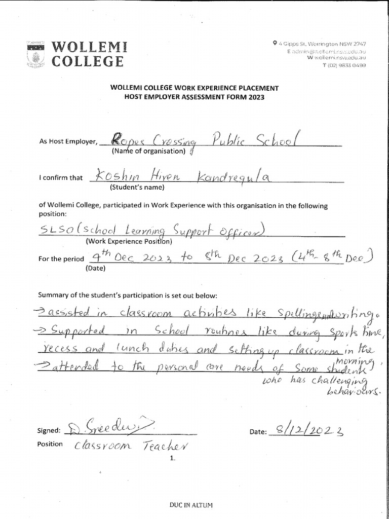 School Work Experience | PDF