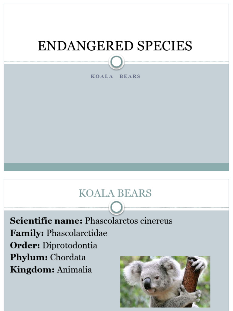 Endangered Species | PDF