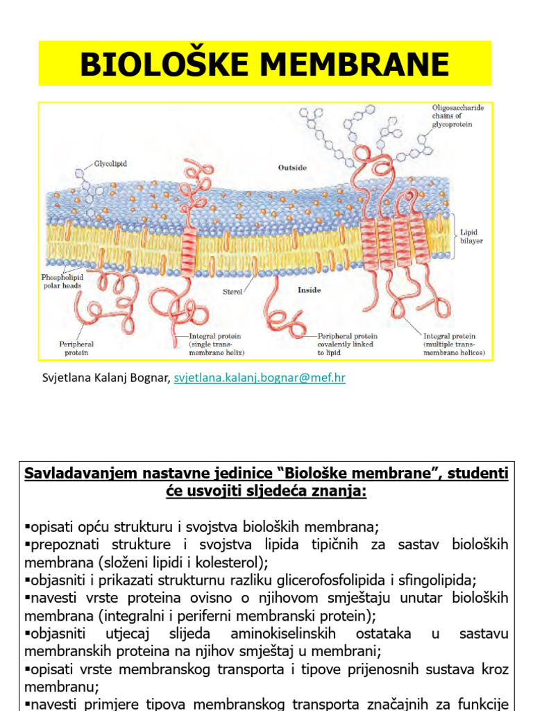 BIOLOŠKE MEMBRANE - 2021-Za LMS | PDF