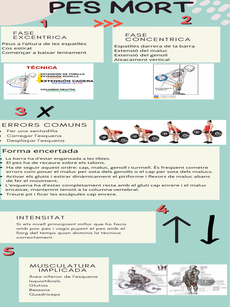 Pes Mort I Sentadilla Bulgara | PDF